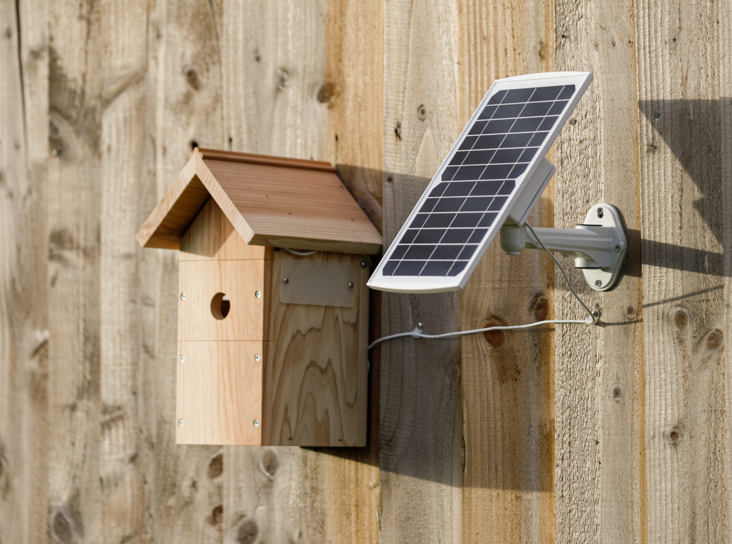 Nichoirs avec caméra wifi - Domaine Bel Air